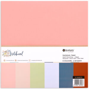 Cardstock Cards & Albums - Rosie's Studio